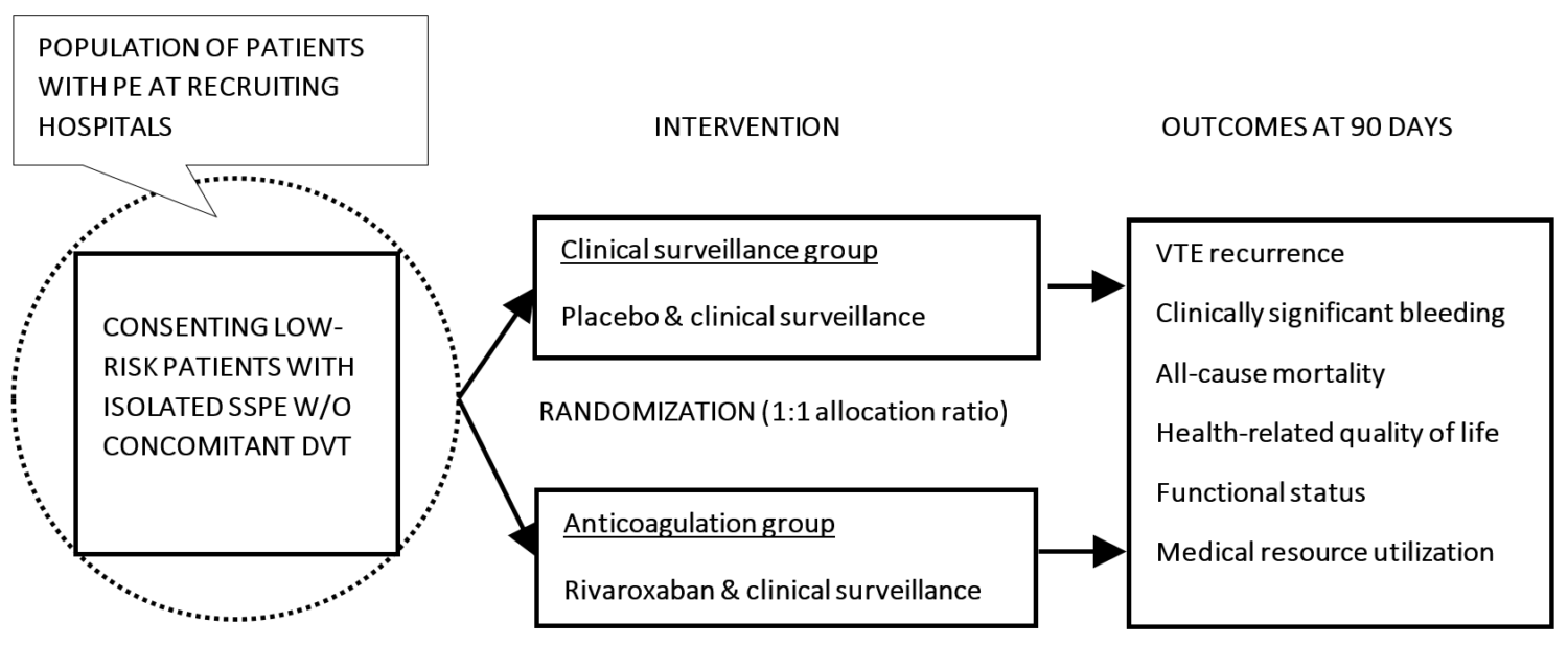 Information about the study - safesspe
